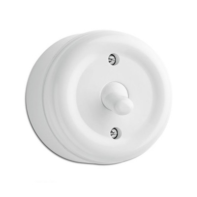 White surface-mounted rocker switch