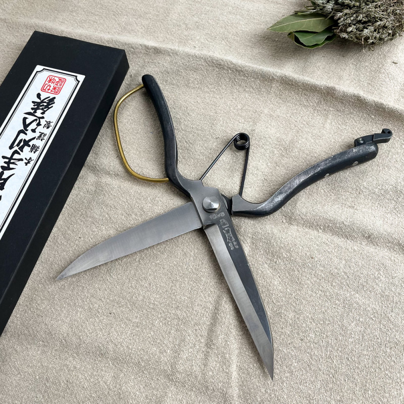 Japanese boxwood shears