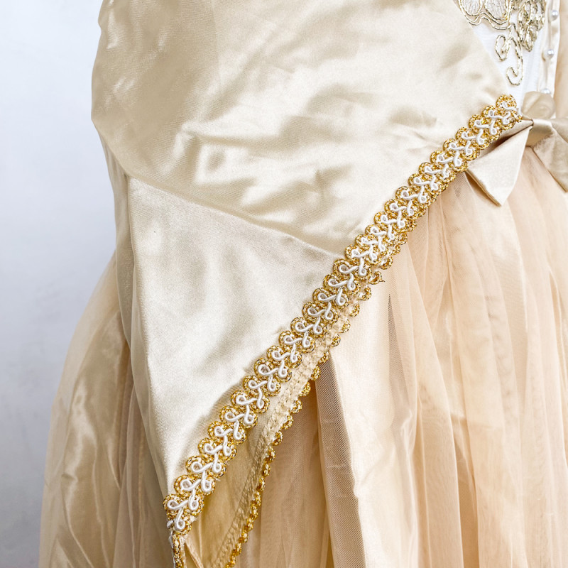Golden princess dress disguise