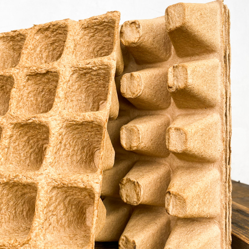 Biodegradable seedling plate