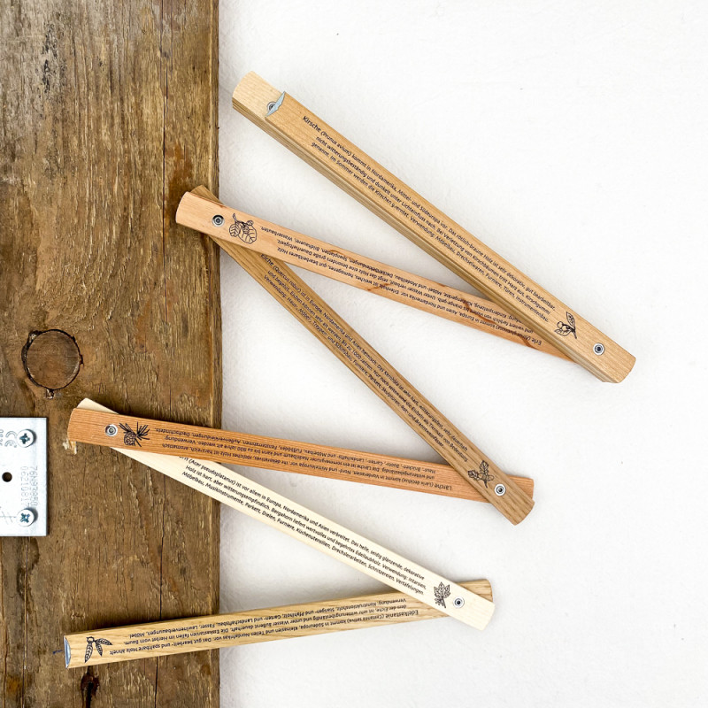 Mètre pliant bois européens