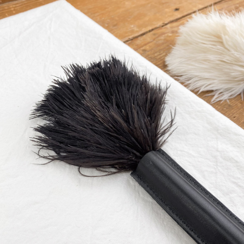 Relaxing face feather duster