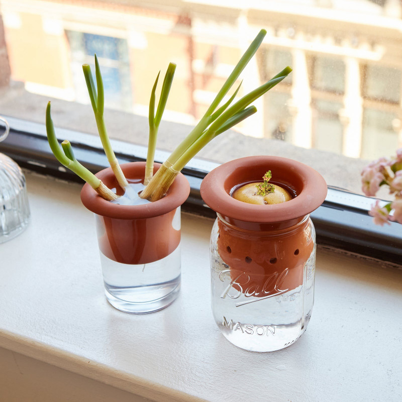 Lot de deux pots pour repousse