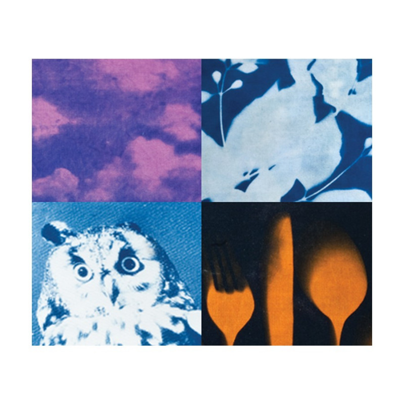 Sunography paper kit