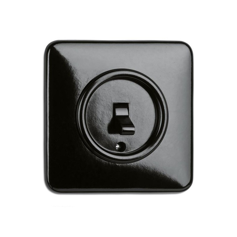 Black bakelite switch