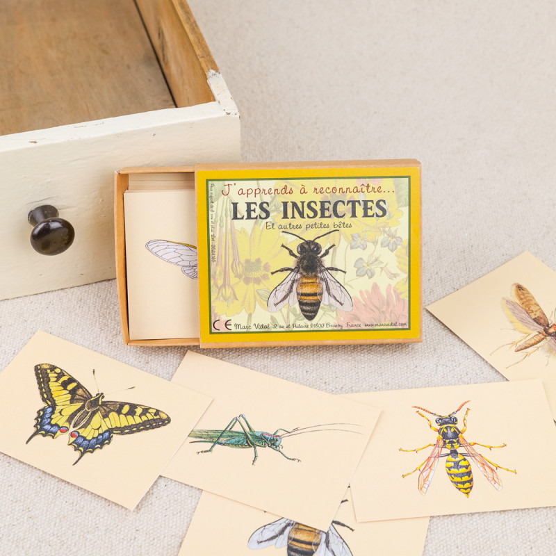 J'apprends à reconnaître les insectes