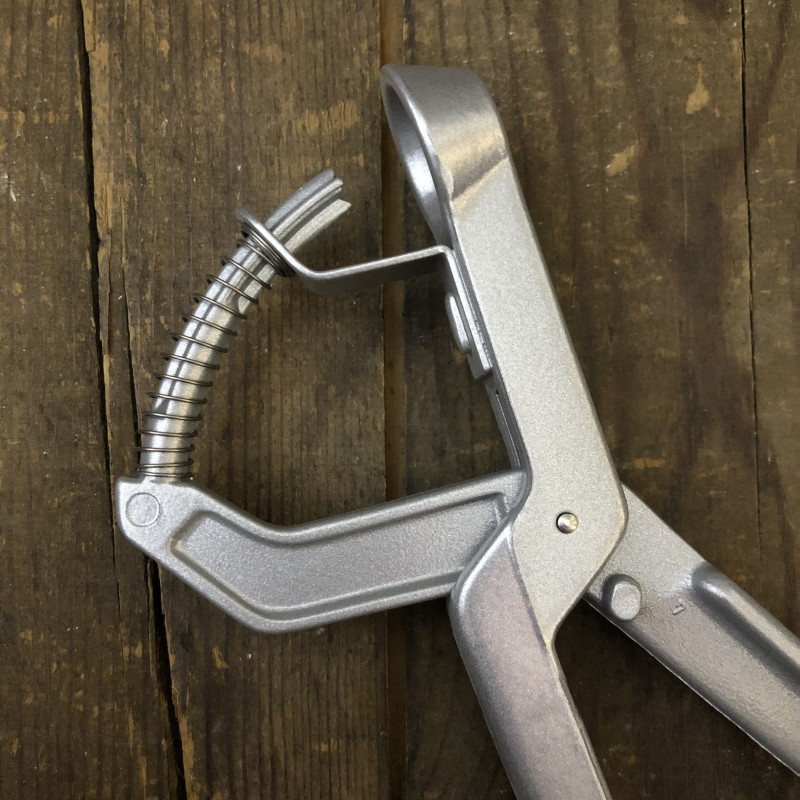 Olive pitter